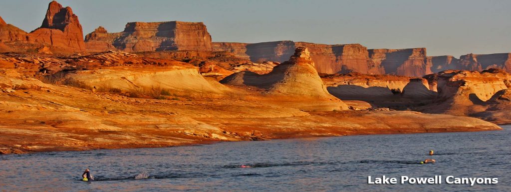 Swimming Lake Powell Canyons • Strel Swimming Adventure Holidays